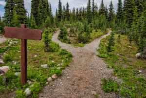 To Defer or not to Defer? – Give Them Time